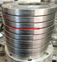 China 304L Forged Steel Flanges Gewindeflansche DIN 2565 - 2567 DIN 2558 Blindflansche DIN 2527 for sale
