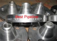 China Metal Weld Neck Pipe Flanges , Raised Face Flange EN 1092-1 PN 10 DIN 2566 for sale