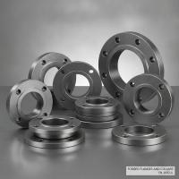 China Forged Flange and Welding Neck Flange EN 1092-1 with X5CrNi18-10, 304L, and 316L Steel Grades for sale