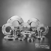 China 317L Stainless Steel EN1092 Standard Corrosion Resistant Welding Neck Forged Flange for sale
