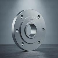 China Customizable P250GH Forged Flange for High Pressure Applications - Welding Neck Flange for sale