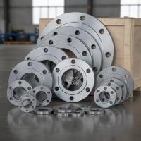 China S235JR Steel Welding Neck Flange EN10025-2 Standard Forged Flange 1/2'' to 84inch Size Range for sale