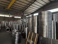 China Duplex 2205 Weld Neck Flange EN 1092-1 PN40 for High Pressure and Temperature Applications for sale