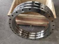 China Dichtringen voor DIN 11851 koppelingen Gaskets for DIN 11851 couplings for sale