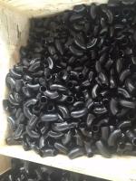 China Dichtringen voor DIN 11851 koppelingen Gaskets for DIN 11851 couplings for sale