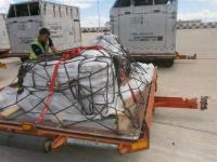 China Electric Fusion Stainless Steel Welded Tube ASTM A 671 For Atmospheric / Lower Temp for sale