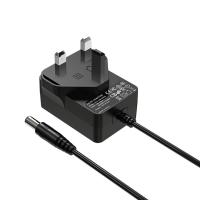 China 500mA 24V Switching Power Supply Adapter Wall Mount Universal DC Power Supply Adapter for sale