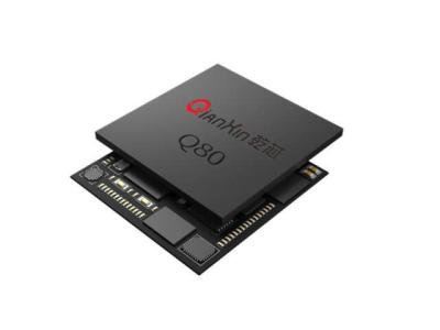 China QX80M32Q68 ASIC Qian Core Iris Recognition Chip – Multi-Interface Extended Iris Verification Core for sale