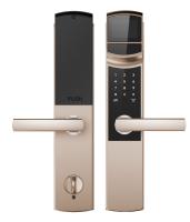 China IRL200 Stainless Steel Biometric Gate Lock With Emergency Key 1s Average Recognition Time for sale