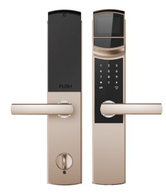 China IRL200 Stainless Steel Biometric Gate Lock With Emergency Key 1s Average Recognition Time for sale