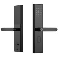 China id1 Class C Lock Core Iris Scanner Door Lock with Remote Control for sale