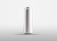 China Spray Liner 12oz 355ml Sleek Aluminum Can 202 CDL Lid for sale