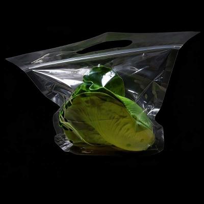 China Customized Ventilated Plastic Bags Biodegradable Clear Vegetable Bags With Die Cut Handle for sale