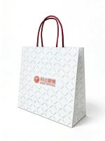 China Custom Size Twisted Handle Paper Bag White Paper Bags With Twisted Handles for sale