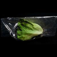 China Non Toxic Micro Perforated Bag Food Grade Vented Lettuce Bags For Vegetable Storage Display for sale