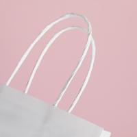 China Recyclable Twisted Handle Paper Bag Biodegradable Shopping Gift Bags Reusable for sale