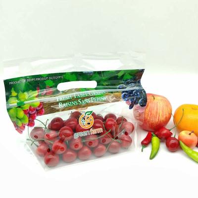 China Food Grade Micro Perforated Bag Customizable Plastic Grape Bags Breathable for sale