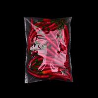 China Custom Size Perforated Bag Self Adhesive Food Safe Clear Bags Anti Fog for sale