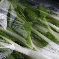China Self Adhesive Micro Perforated Plastic Bags Breathable Vegetable Produce Bag High Clarity for sale