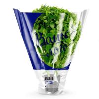 China Trapezoid Plastic Vegetable Bags CPP OPP Lettuce Plastic Bag With Micro Perforations for sale