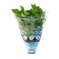China Trapezoid Plastic Vegetable Bags CPP OPP Lettuce Plastic Bag With Micro Perforations for sale