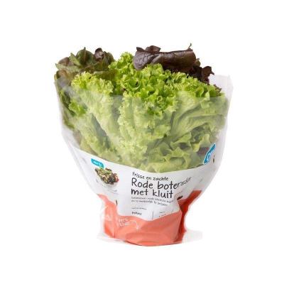 China Trapezoid Plastic Vegetable Bags CPP OPP Lettuce Plastic Bag With Micro Perforations for sale