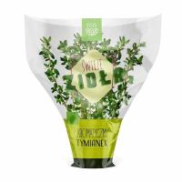 China Trapezoid Plastic Vegetable Bags CPP OPP Lettuce Plastic Bag With Micro Perforations for sale