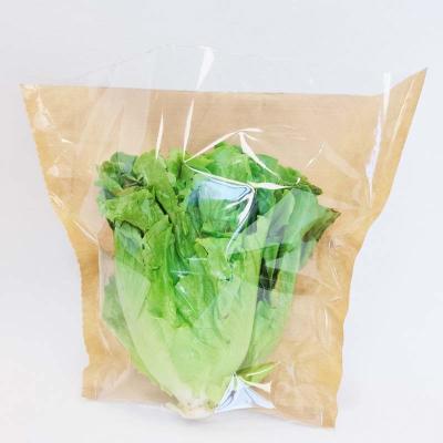 China Compostable Flat Bottom Paper Bag Eco Friendly Paper Vegetable Bags With Breathable Holes for sale