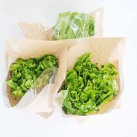China Compostable Flat Bottom Paper Bag Eco Friendly Paper Vegetable Bags With Breathable Holes for sale