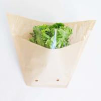 China Compostable Flat Bottom Paper Bag Eco Friendly Paper Vegetable Bags With Breathable Holes for sale