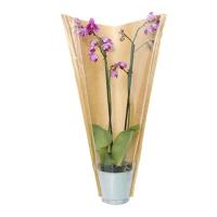 China Customized Kraft Paper Flower Sleeves Breathable Paper Bouquet Sleeves Eco Friendly for sale