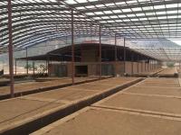 China JKY55 Extruder Automatic Brick Plant with 150,000 Bricks Daily Capacity for Clay and Shale Processing for sale