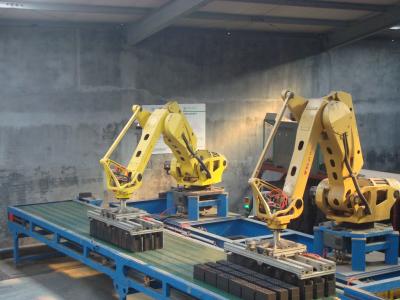 China Halstec Automatic Brick Making Machine with 0.8Mpa Pressure and 30,000 Bricks/Hour Capacity for sale