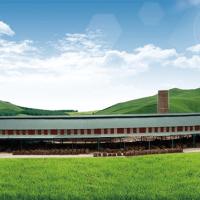 China 12.98m Rotary Kiln Automatic Brick Plant - 250,000 Bricks Daily Capacity | Halstec Industrial Manufacturing for sale