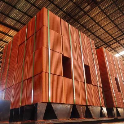China Automatic Ceramic Hollow Block Brick Plant - 200,000 Bricks/Day Capacity with 60% Hole Rate for Construction Materials for sale