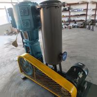 China Halstec Vacuum Pump-200 Brick Making Machine - 22kW Industrial Vacuum System with -0.092MPa Capacity for sale