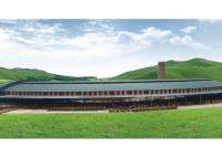 China Halstec Brick Tunnel Kiln 7.2M-16.8M Sections | 100,000-200,000 Daily Capacity | Automatic Clay Brick Firing for sale