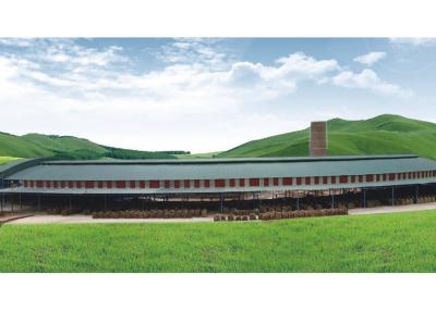 China Halstec Brick Tunnel Kiln 7.2M-16.8M Sections | 100,000-200,000 Daily Capacity | Automatic Clay Brick Firing for sale