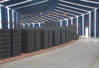 China Halstec Brick Tunnel Kiln with 100,000-200,000 Daily Capacity and CE/ISO Certification for sale