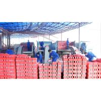 China Automatic Brick Plant Rotary Kiln 110-170m for Fired Clay Brick Making Machine 100000 Bricks Day for sale