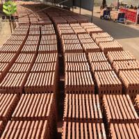 China Automatic Rotary Tunnel Kiln 200000 Bricks per Day for Clay Brick Production Line CE ISO for sale