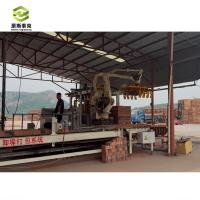 China Robot Stacking Machine for Bricks 22000-36000/Hour with 16.5-55 kW Power Options and CE/ISO Certification for sale