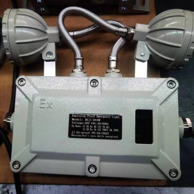 China 220V 2*3W Explosion Proof Emergency Lights Double Head  Atex Ex Lighting Fixtures for sale