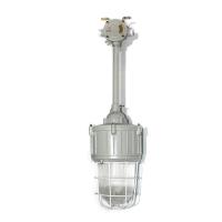 China 220v Explosion Proof Fluorescent Light ATEX Hazardous Area 100w HID Lamps for sale