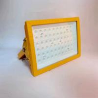 China 100w Ip66 Atex Led Flood Light Explosion Proof Led Lamp Marine Garden Tennis Court Stadium for sale