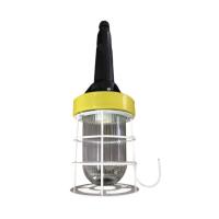 China HID 100W Explosion Proof Fluorescent Lights Anti Explosive Ex D Hand Lamps for sale