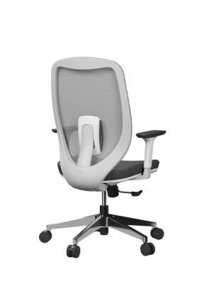China Domitory Study Revolving Chair , SGS 0.156m3 Rotating Chair For Study for sale