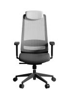 China 1140-1235mm Mesh Office Revolving Chairs Ergonomic Multiple Color for sale