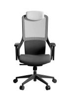 China Manager Mesh Office Revolving Chairs 3 Positions Nylon Base for sale