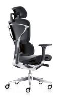 China Height 1225-1305mm Ergonomic Office Mesh Chairs 4D Armrest for sale